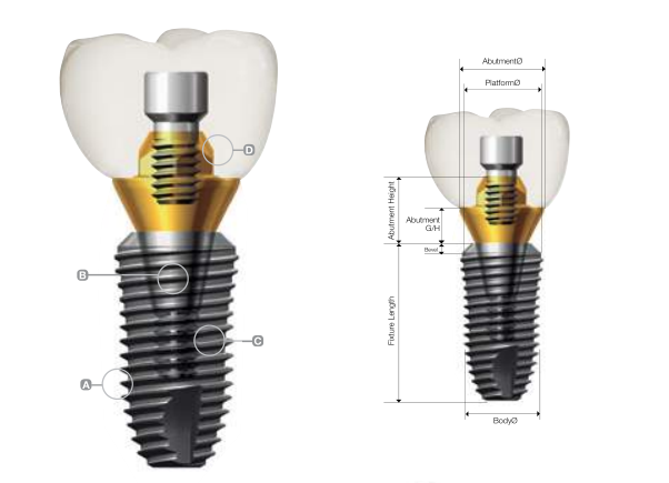 Dentium Superline® Implant Internal Titanium Premill Blank Abutment ...