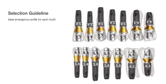 Dentium Superline® Titanium Premill Implant Blank ISO 9001 13485 of ...