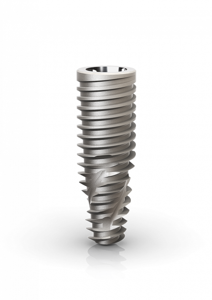 Neodent® GM Dental Implant Internal Premill Blank 10mm Engaging ...