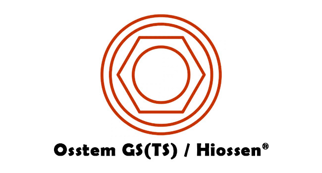 Osstem GS TS Hex 1.22mm Dental Implant Titanium Screw